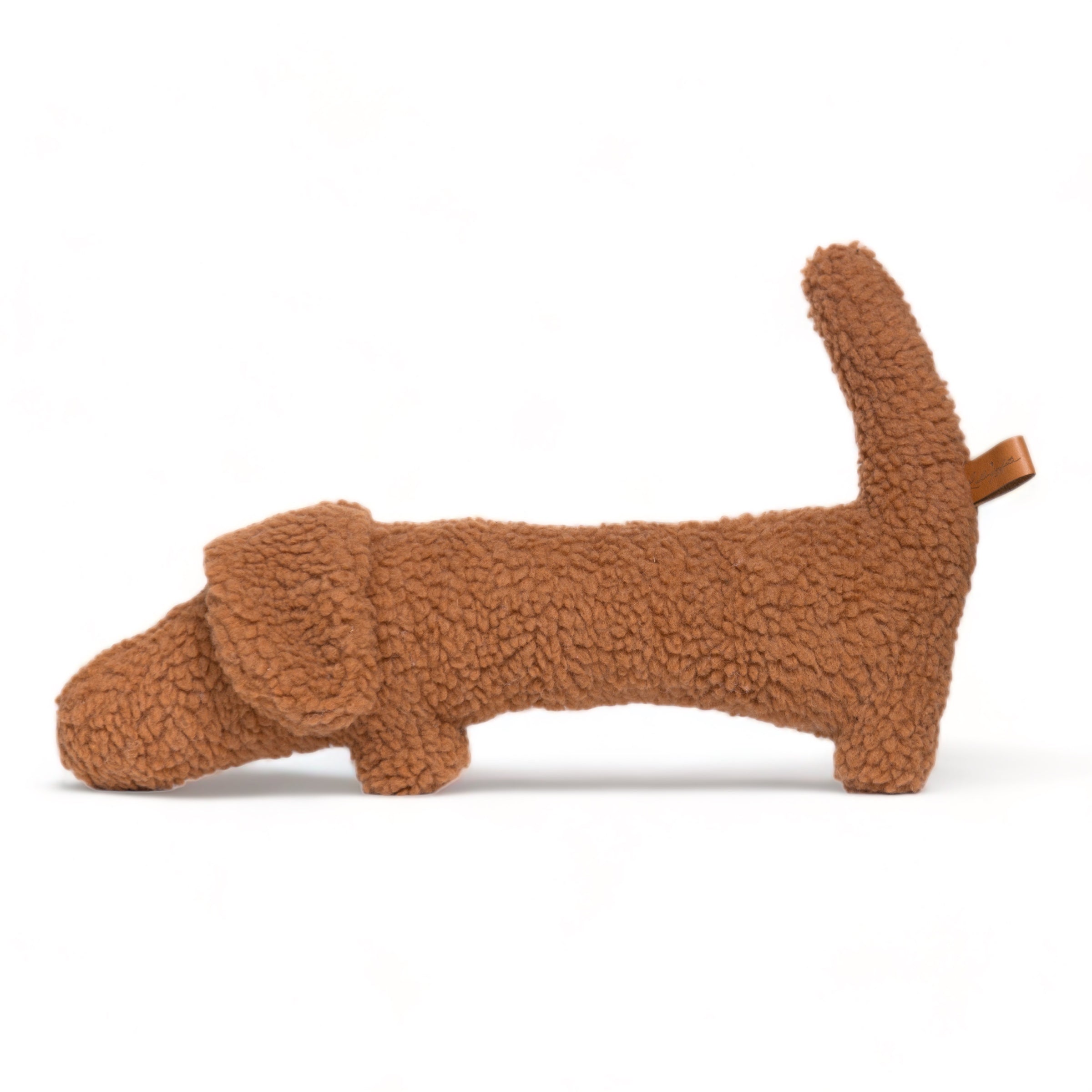 Dachshund MUSCH – Lieblingspfote
